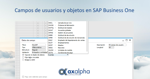 Campos de usuarios y objetos en SAP Business One - Axalpha Consulting